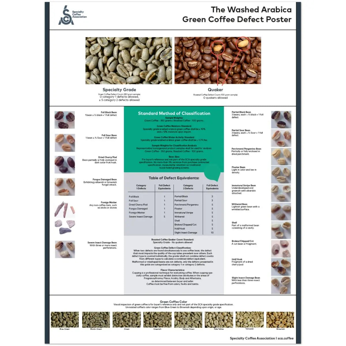 Arabica Plakat - Engelsk - SCA – Barista och Espresso